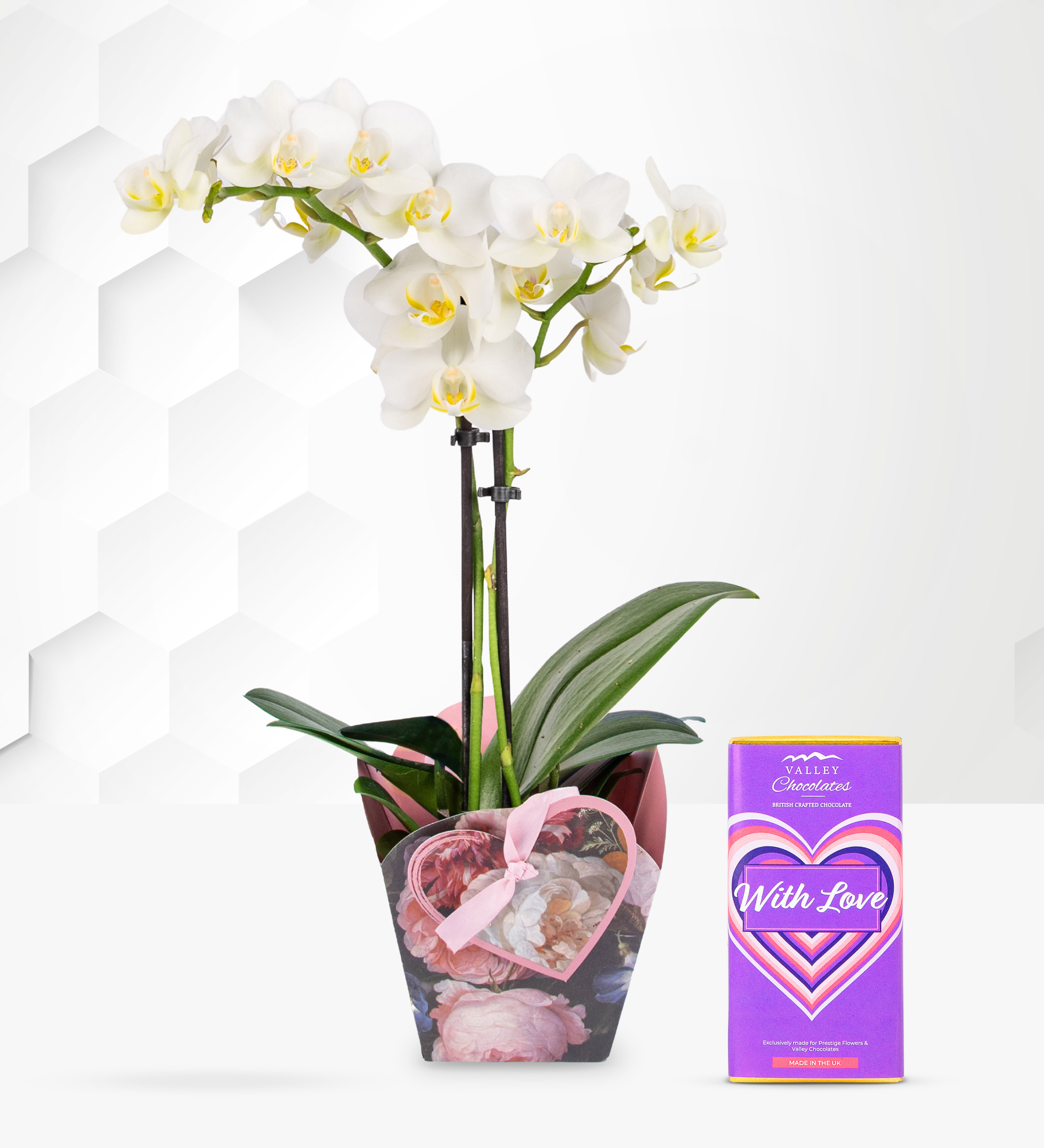 Spring Orchid Love Gift | Prestige Hampers