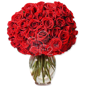 50 Red Roses Bouquet | Prestige Hampers
