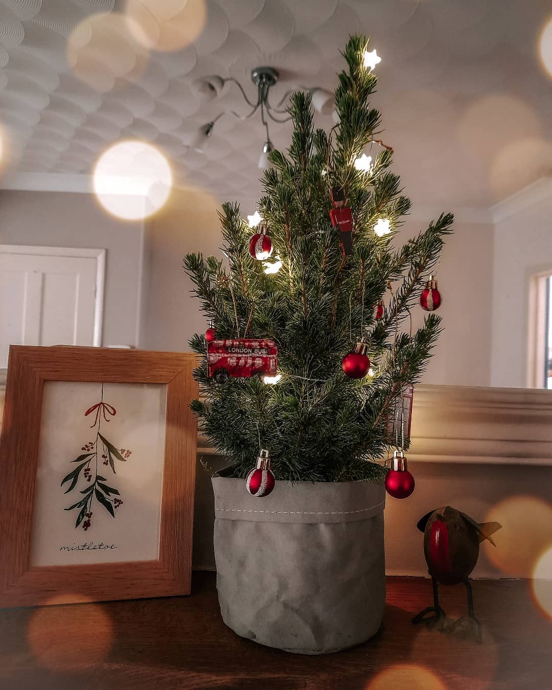 Letterbox Tree with Card | Prestige Hampers