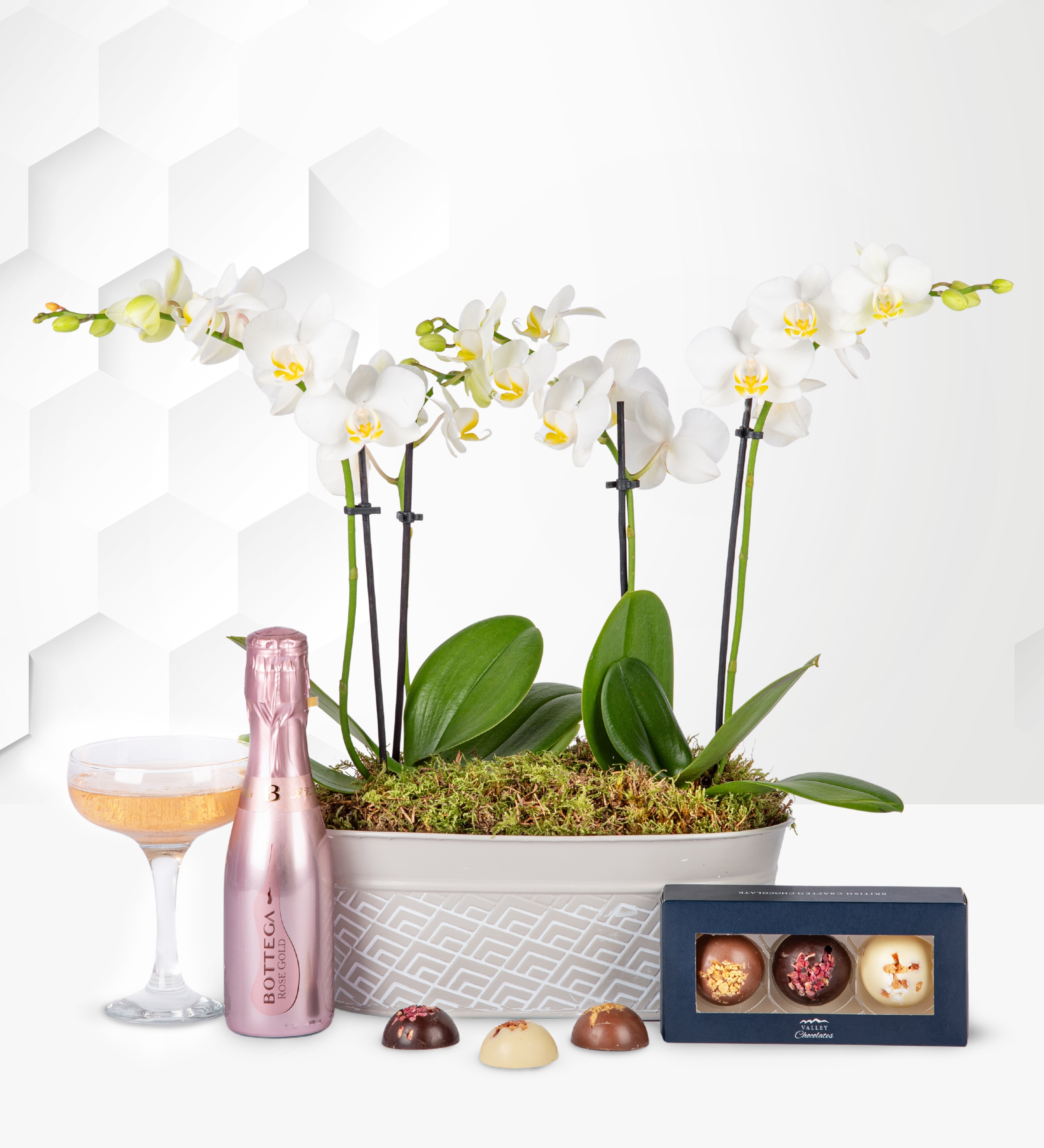 Deluxe Orchid Gift | Prestige Hampers